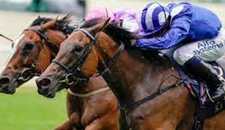 Interactive Horse Racing Form-Books and Database Software | DataForm