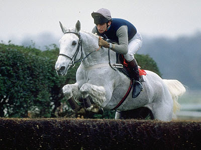 Interactive Horse Racing Form-Books and Database Software | DataForm