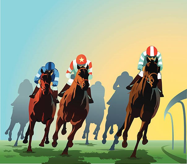 Horse Racing Database Software | DataForm | Cheltenham